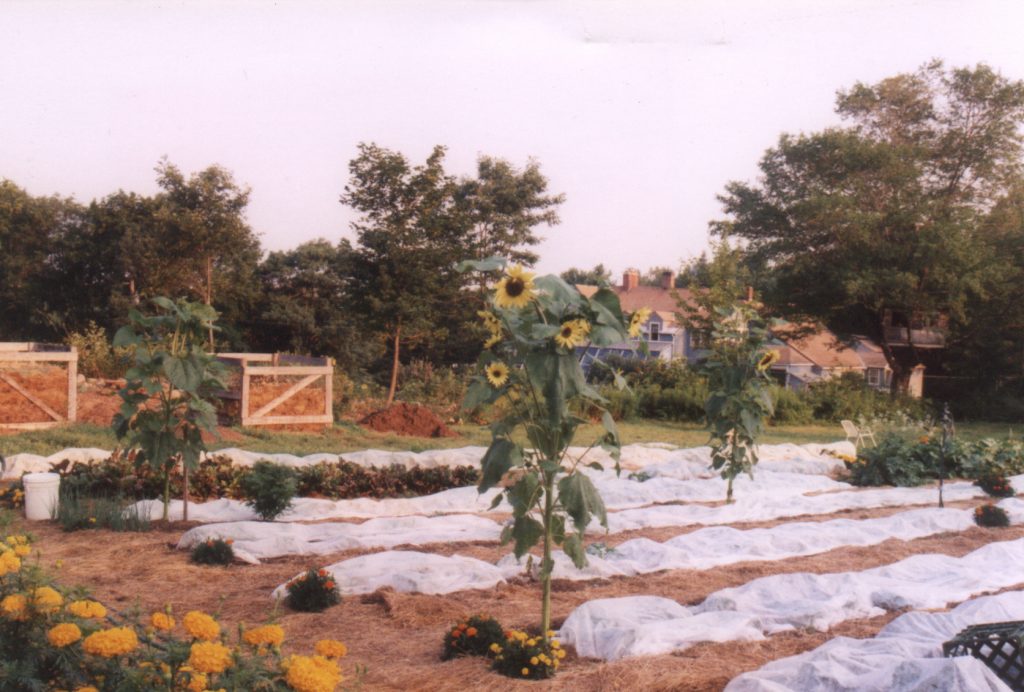 Timeline – Haley House