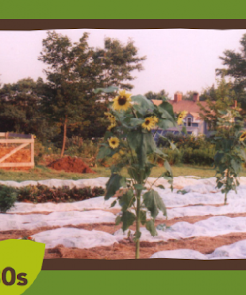 Urban Farming History – Haley House